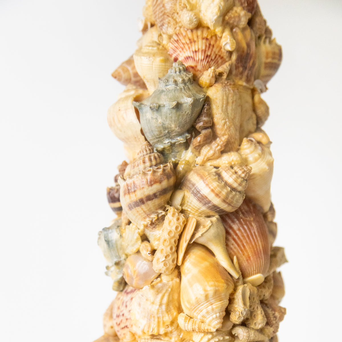 LARGE VINTAGE SHELL & CORAL ENCRUSTED LAMP – HOUSE SFW