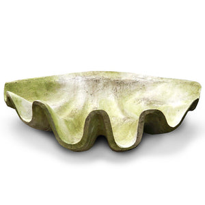 GIANT CLAM SHELL GARDEN SCULPTURE – HOUSE SFW